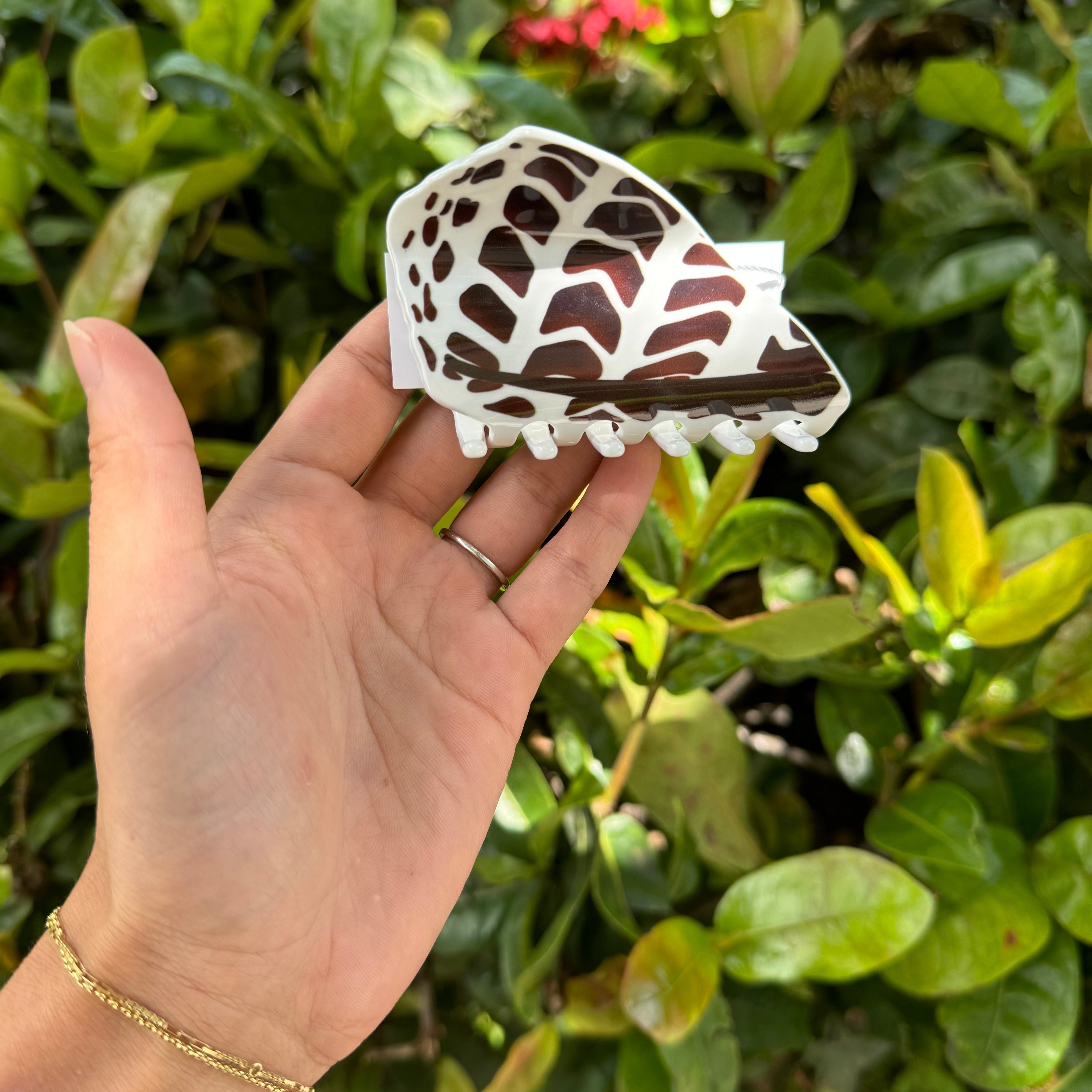 Hebrew Shell Clip - Kahomelanis – Shop Keiko